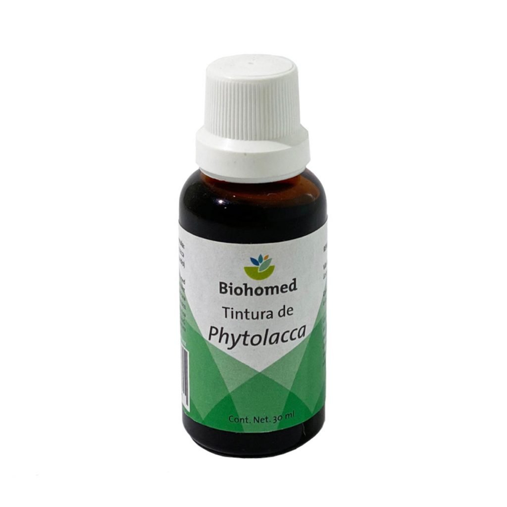 Tintura de Phytolacca (Phytolacca decandra) – Biohomed